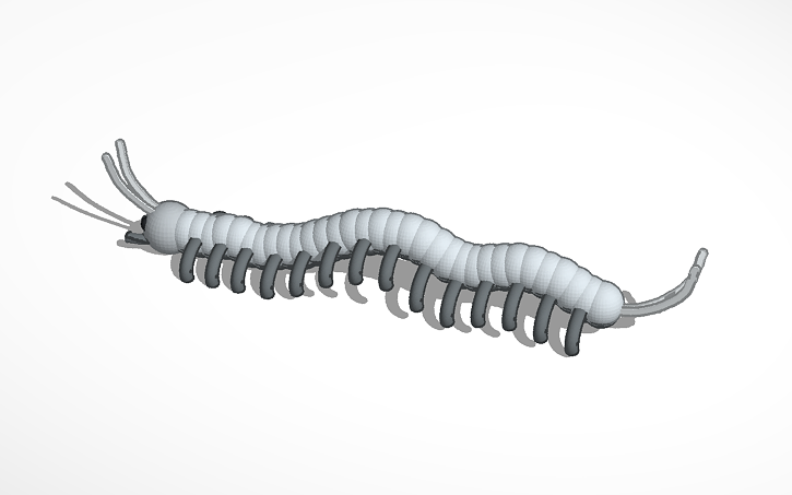 3D design Robot-Centipede | Tinkercad