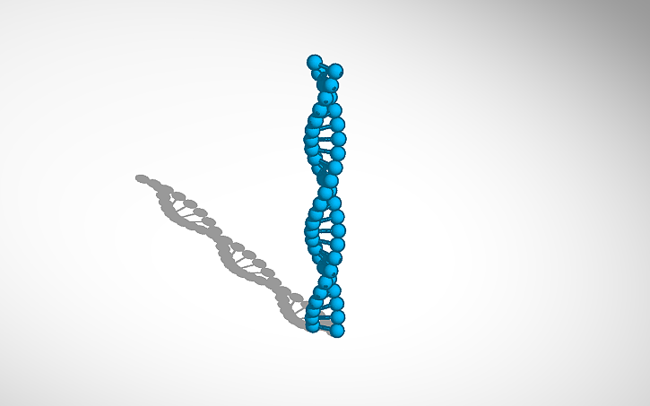3D design DNA - Tinkercad