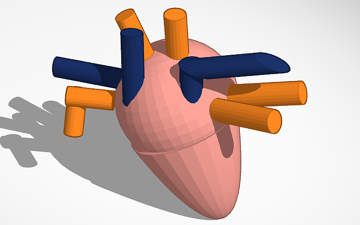 3D design Swanky Jaiks-Turing - Tinkercad