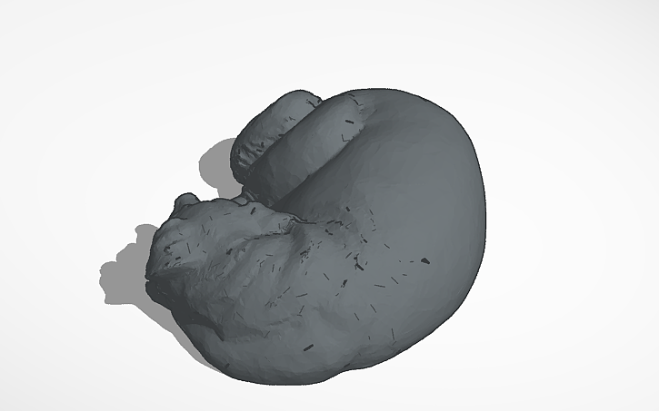 3D design Sleeping Dog - Tinkercad