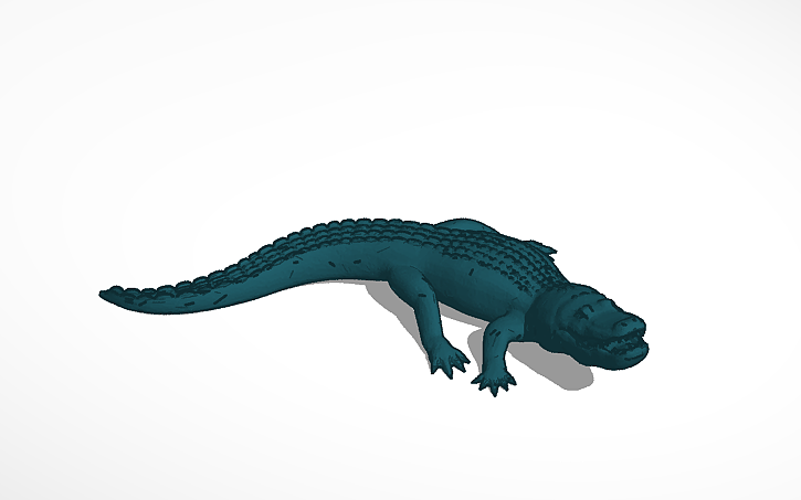 3D design Alligator - Tinkercad