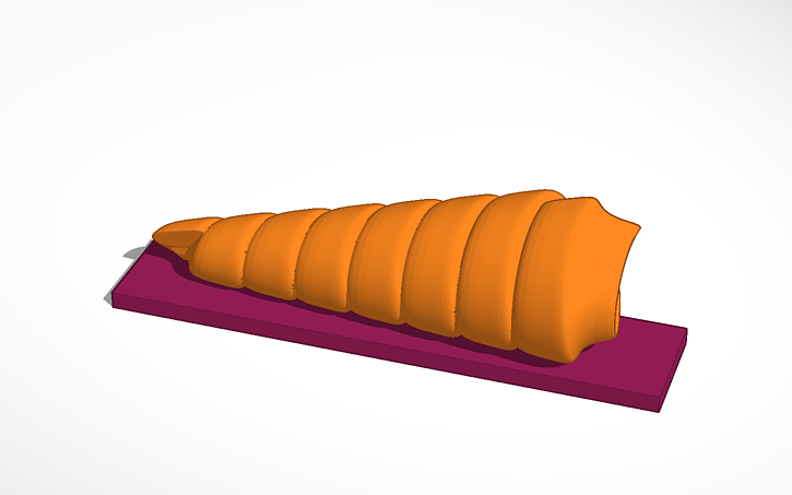 3D design Copy of Copy of Copy of Sea Shell - Tinkercad