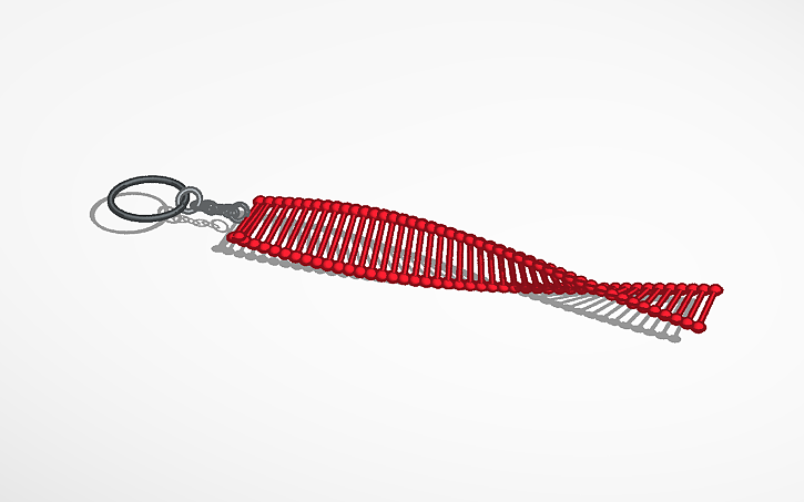 3D design DNa keychain - Tinkercad