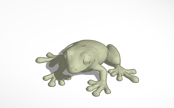 3D design Frog - Tinkercad