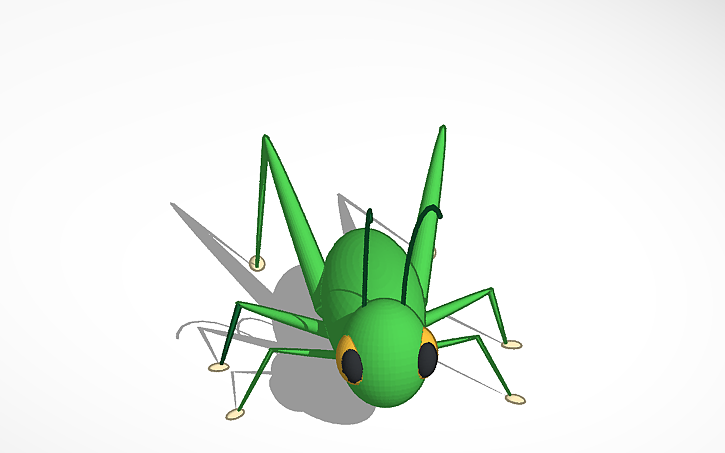 3D design grasshopper - Tinkercad