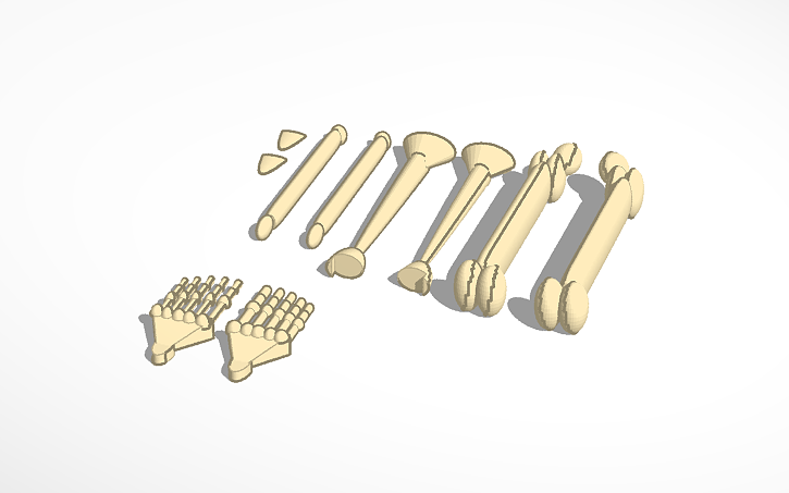 3D design Bones - Tinkercad