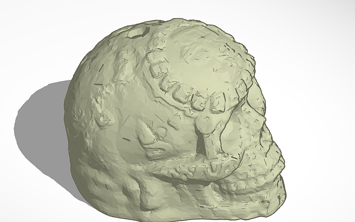 3D design Death Whistle - Tinkercad