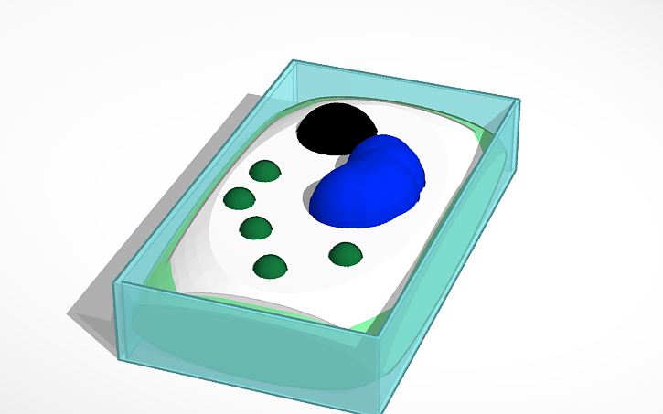 3D design Plant Cell Model - Biology - Tinkercad