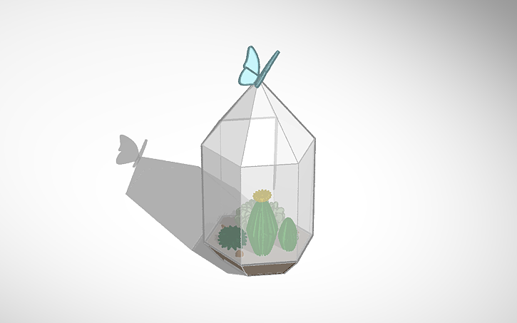 3D design succulent terrarium - Tinkercad
