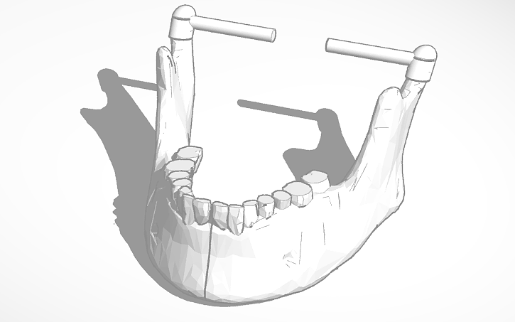 3D design Lower Jaw Final - Tinkercad