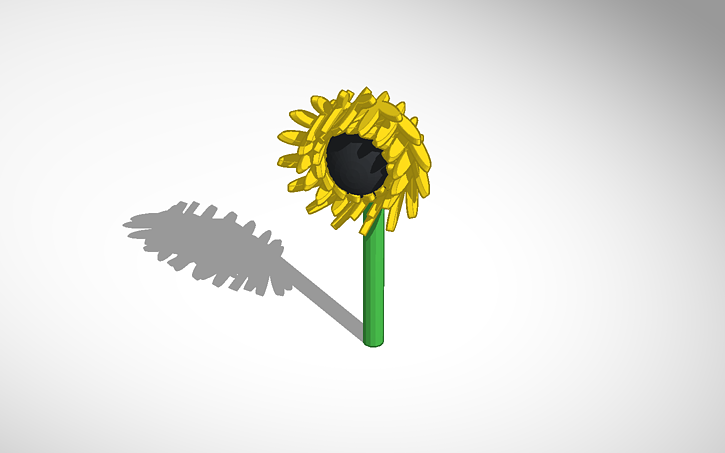 3D design sunflower | Tinkercad