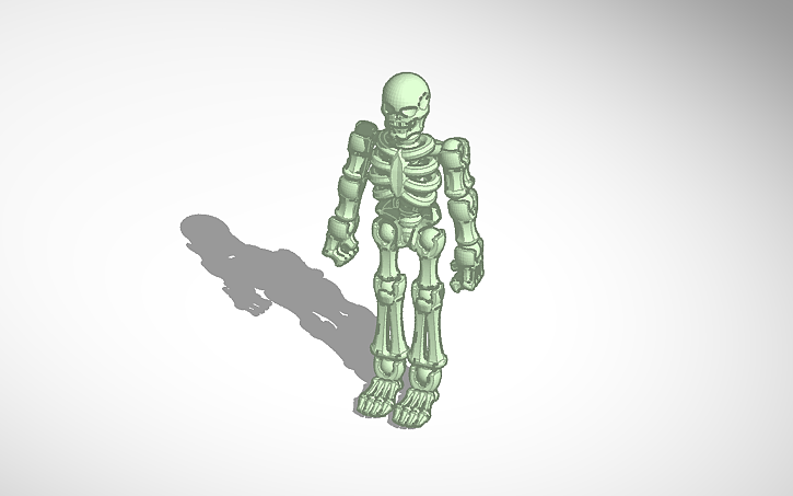 3D design Standing skeleton | Tinkercad