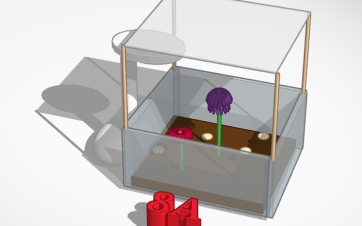 3D design Real copy - Tinkercad