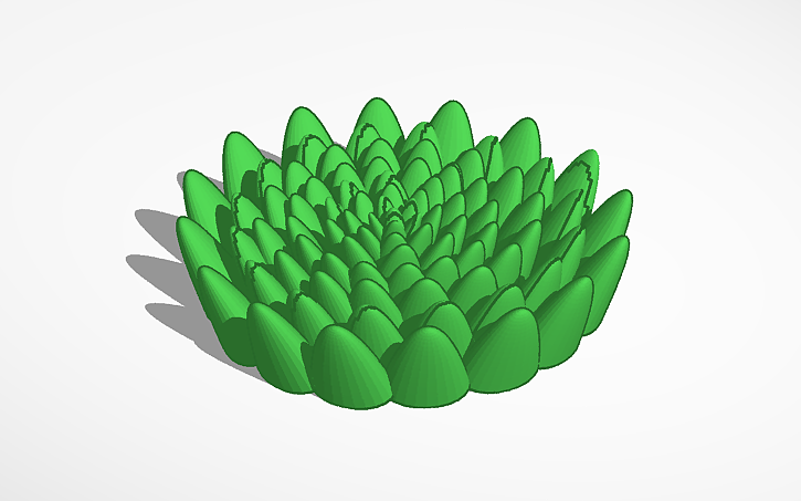 3D design Succulent - Tinkercad