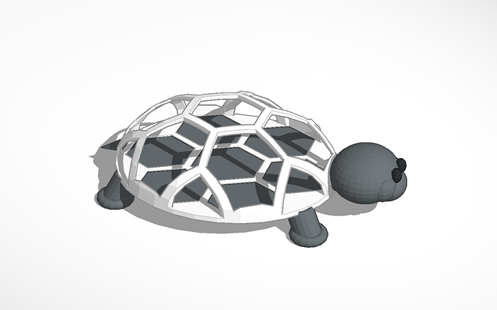 3D design Taylah's Turtle | Tinkercad
