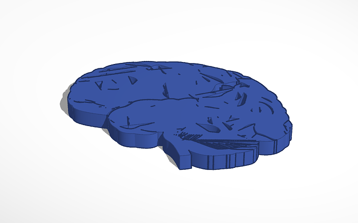 3D design The Brain part 3 - Tinkercad