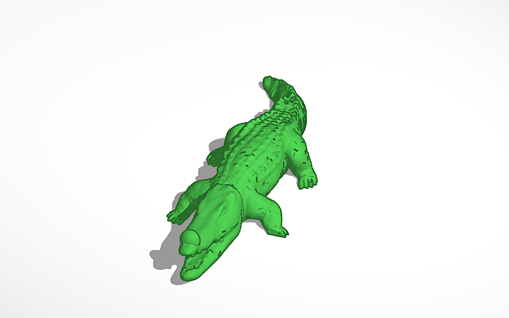 3D design cocodrilo - Tinkercad