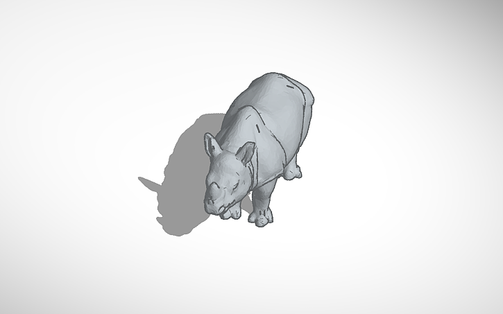 3D design Rhino - Tinkercad