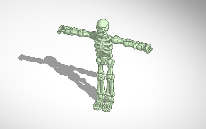 3D design Skeleton - Tinkercad
