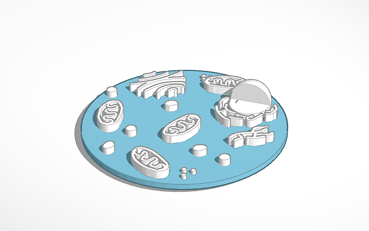 3D design science_project | Tinkercad