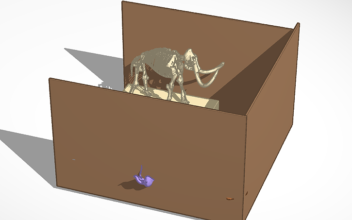 3D design Museum - Tinkercad