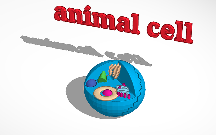 3D design animal cell | Tinkercad