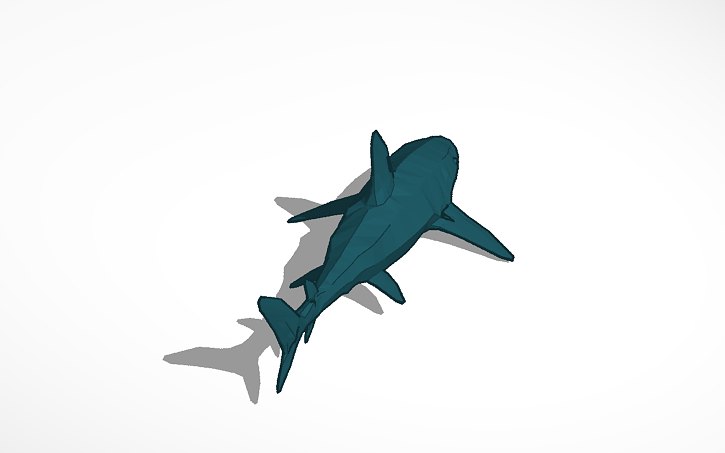 3D design shark - Tinkercad
