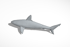 3D design Shark | Tinkercad