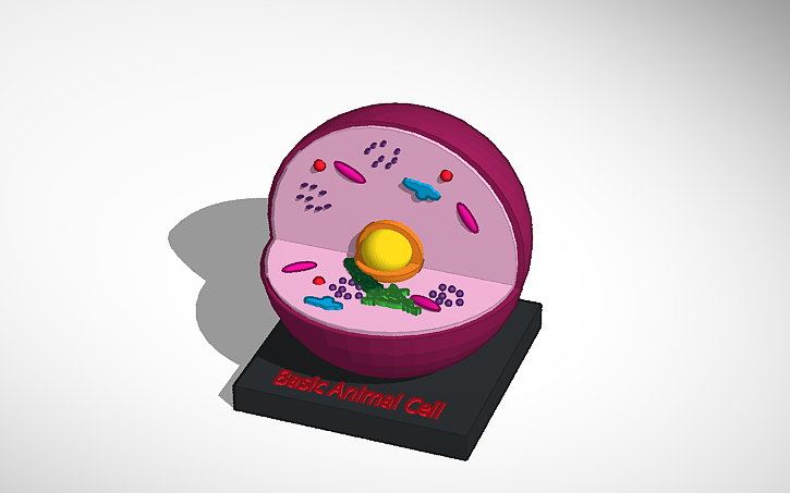 3D design animal cell - Tinkercad