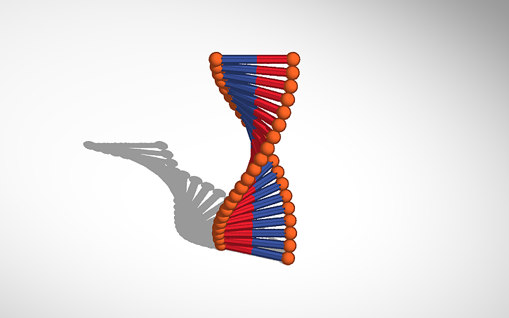 3D design dna modeli - Tinkercad