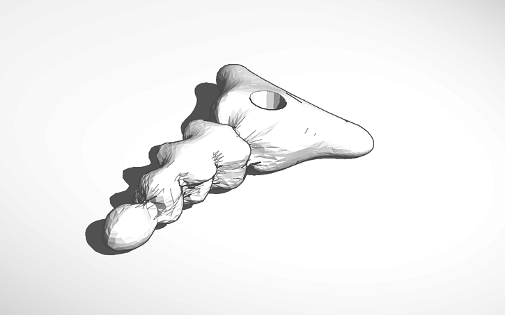 3D design sharks tooth | Tinkercad