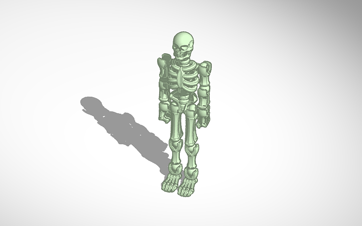 3D design Skeleton - Tinkercad