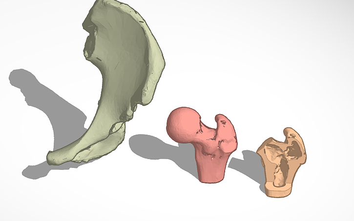 3D design Biomedical EfaD - Sliced - Tinkercad