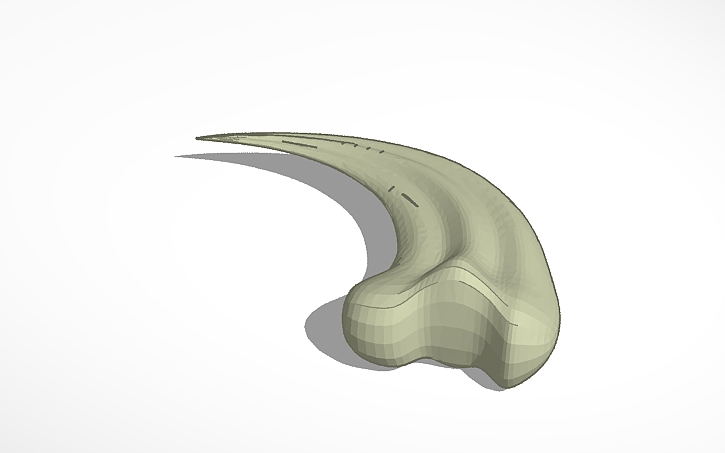 3D design velociraptor claw - Tinkercad