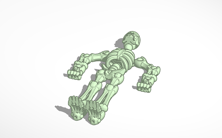 3D design skelet - Tinkercad