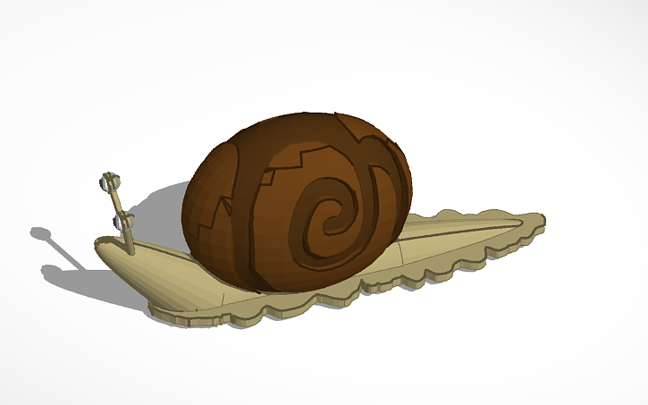 3D design snail! - Tinkercad