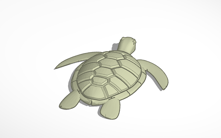 3D design Sea Turtle - Tinkercad