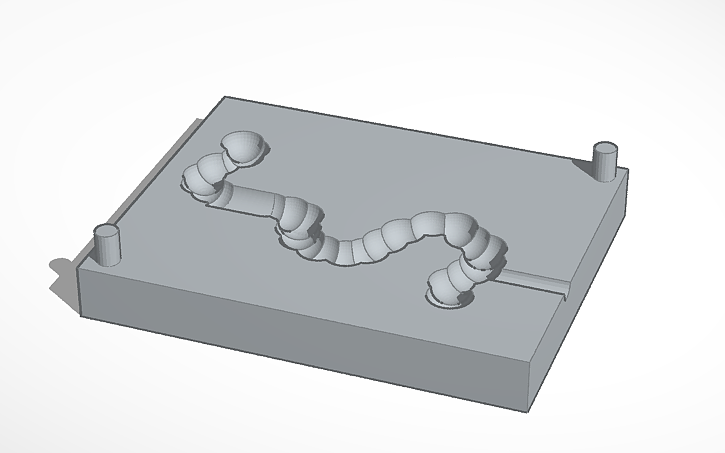 3D design Worm mold-bottom - Tinkercad