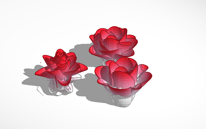 3D design flowers - Tinkercad
