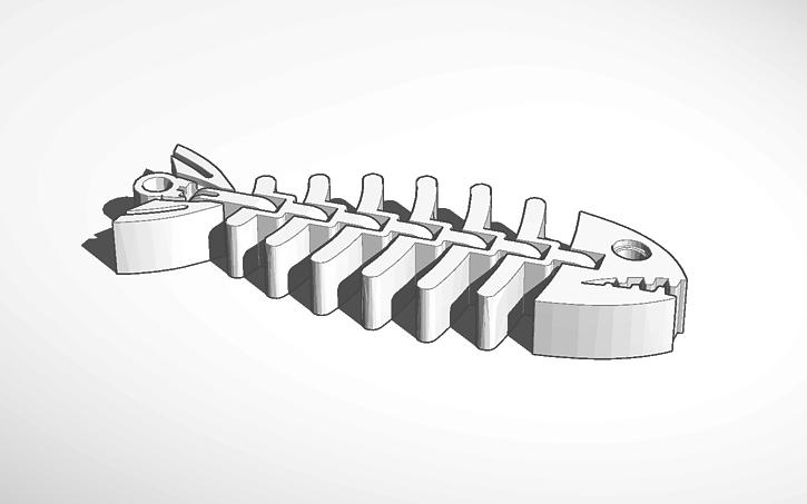 3D design Fish Fossils Keychain - Tinkercad