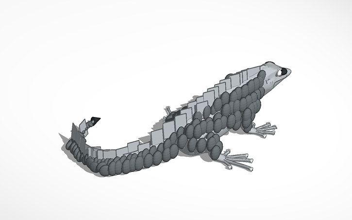 3D design Lizard - Tinkercad