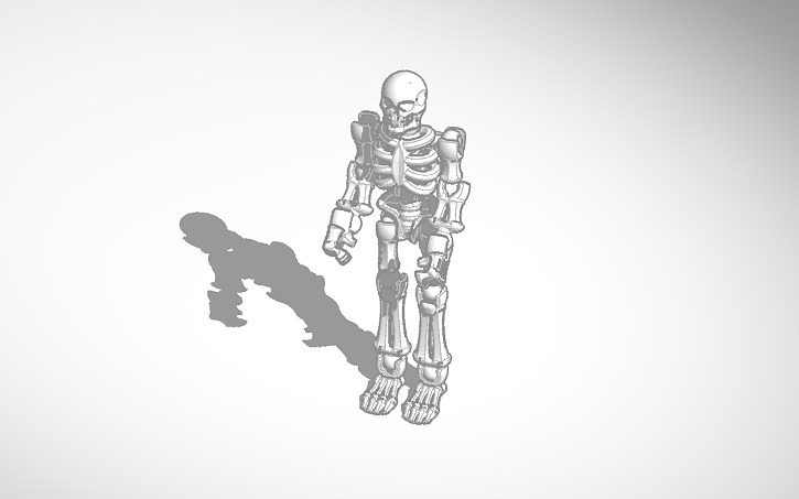 3D design BONES - Tinkercad