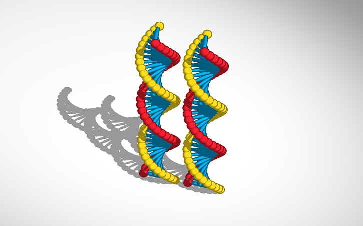 3D design DNA - Tinkercad