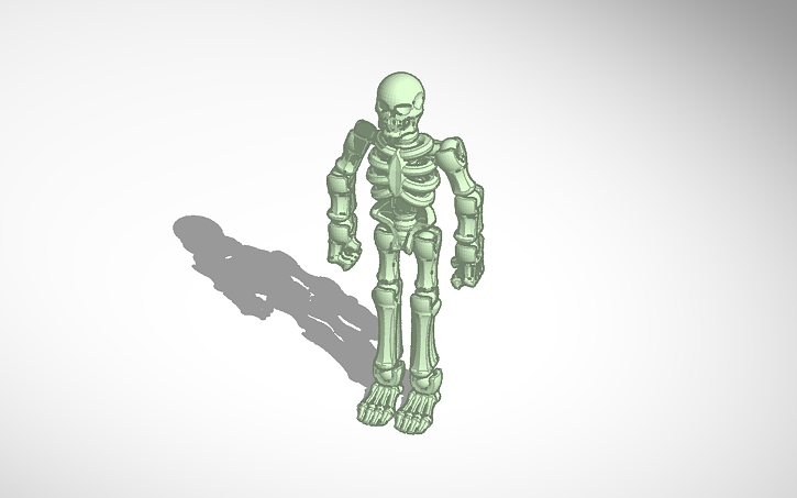 3D design Skeleton - Tinkercad