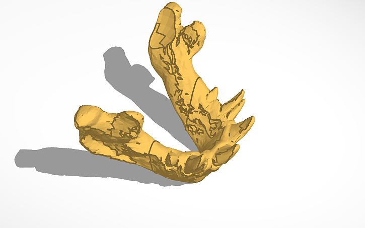 3D design Skull mask bottom - Tinkercad