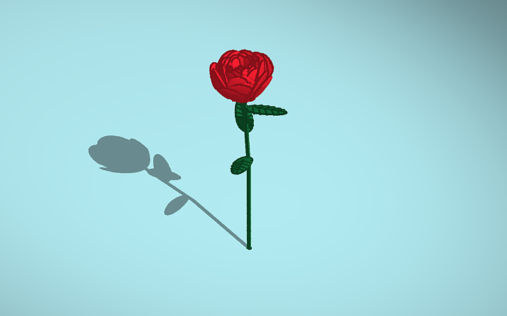 3D design Rose - Tinkercad