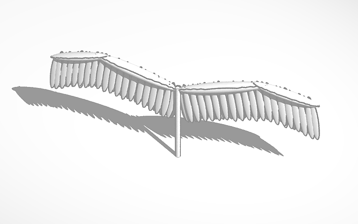 3D design wing - Tinkercad