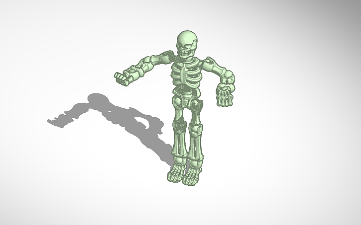 3D design Skeleton Model | Tinkercad