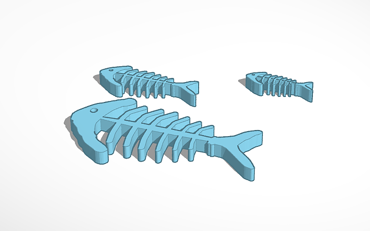 3D design Fish Bones (first creation) | Tinkercad