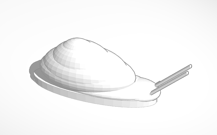 3D design enid snail - abbey drake | Tinkercad